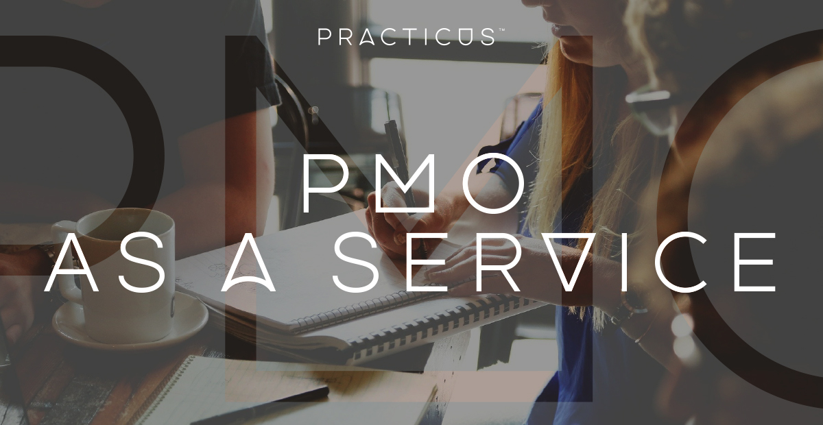 Navigating PMO Challenges - Practicus