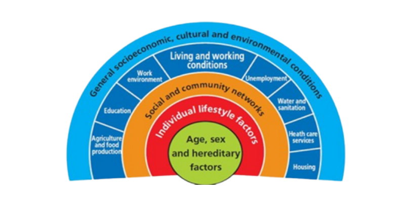 Making Data Count to Tackle Health Inequalities - Practicus