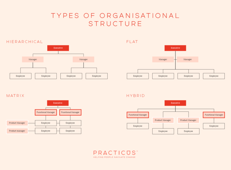 Organisational Design - Practicus