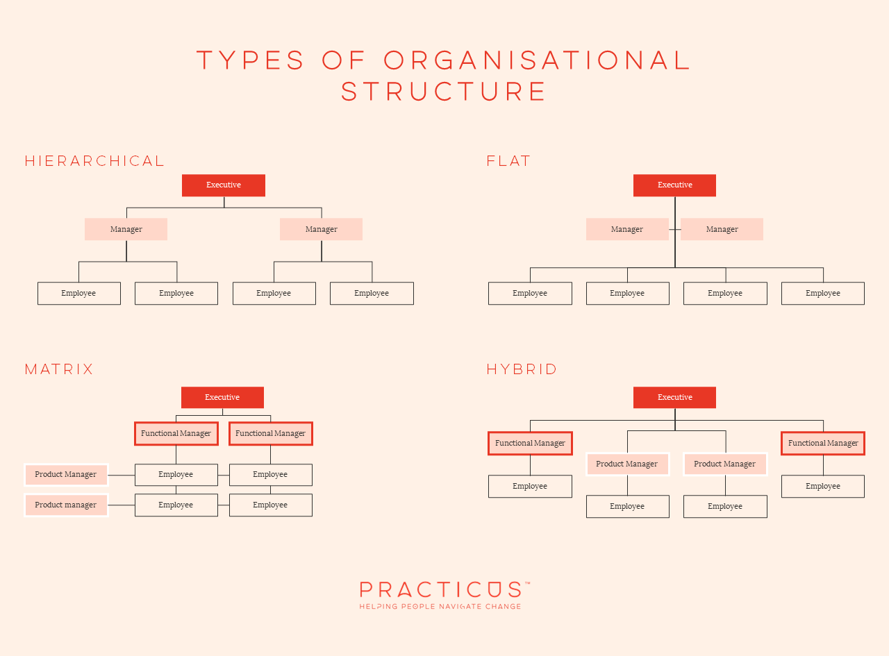 Organisational Design - Practicus Organisational Design - Practicus