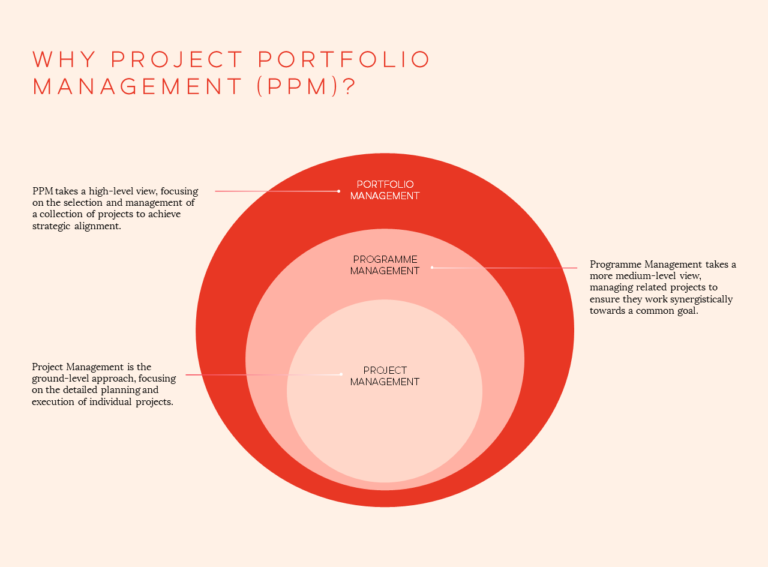 Project Portfolio Management - Practicus